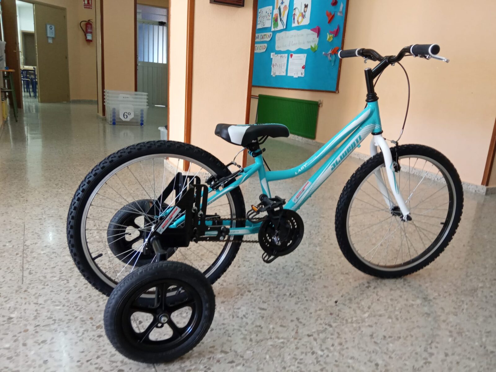 Ruedines para Bicicleta de Adulto ⋆ Ciclo-Mania